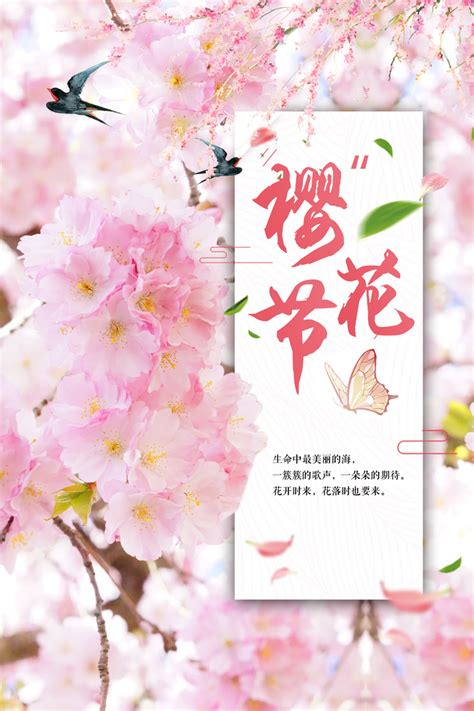 樱花节展架素材 樱花节展架图片 樱花节展架模板 设图网