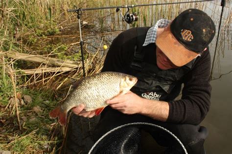 Targeting Roach Irish Roach Specimen Roach In Ireland