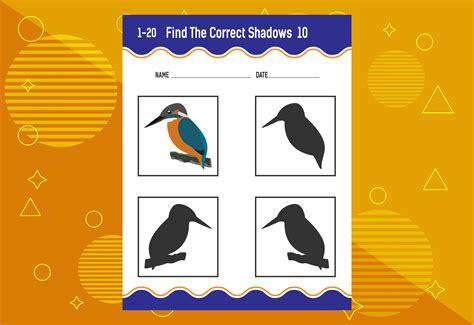 Find The Correct Shadow Worksheet Graphic By Makhondesign · Creative