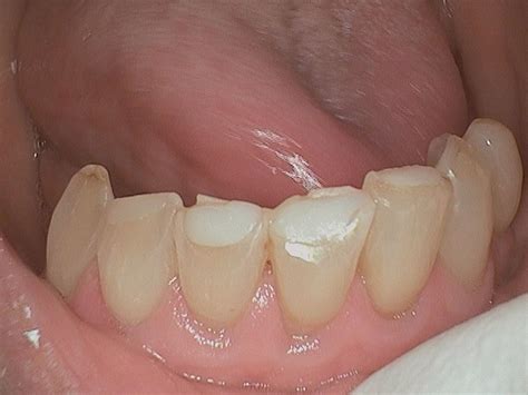 Fiddlehead Dental Fiddlehead Dental