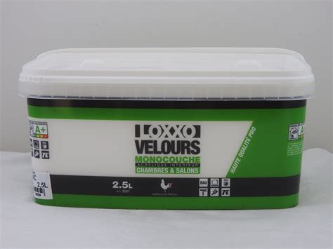 Peinture Blanche Acrylique Monocouche Velours Loxxo L Innova Loxxo Velours L Blanc
