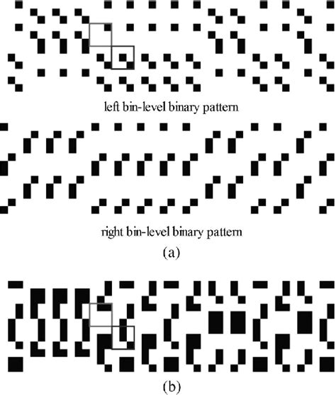 Parts Of Bin Level Binary Patterns A Left And Right Binlevel Binary