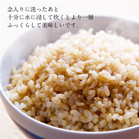 令和4年産 玄米 無農薬 無化学肥料 ヒノヒカリ 5kg 福岡県産 百笑倶楽部のお米 田中大輔栽培米 Umum005 Honey82