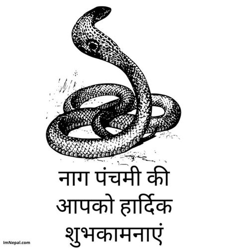 25 Happy Nag Panchami Wishes In Hindi With Images