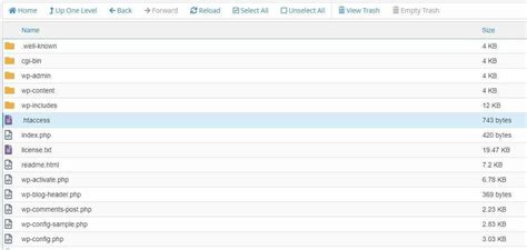 Increase Wordpress Page Speed 5x Htaccess Optimization