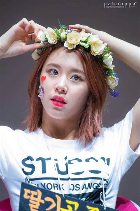 [트와이스] 아기맹수 채영이 짤 모음  인스티즈 Instiz 인티포털 카테고리