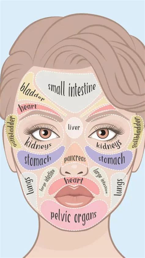 Skin Areas Face Mapping Face Reflexology Chart Pressure Points