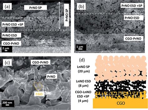 Sem Micrographs Of Sample 6 A B Cross Section C Cgoprno