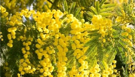 Здоровье Красота УСПЕХ Анонс прямого эфира «О душе Сегодня в 19 30 по Москве 🧘‍♂️ Специально