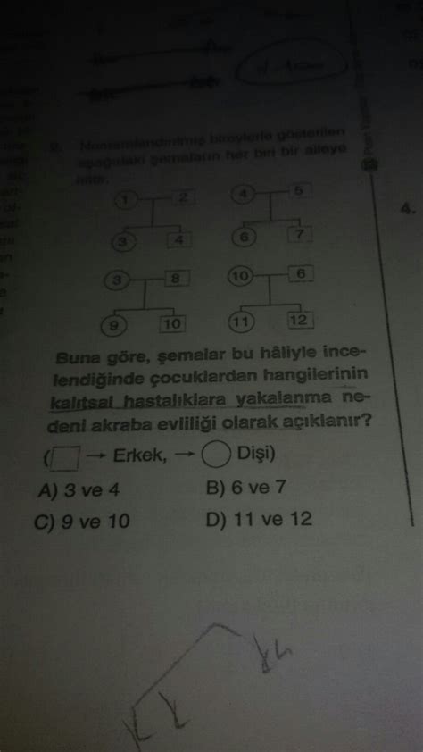 Anlamadim Nasil Yapiliyor Eodev