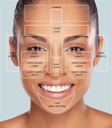 Acne Map PLEIJ Salon Spa