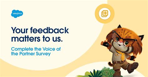 Surveys Bertrand Van Acker