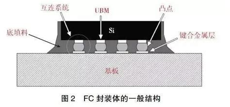 三星电机开发出适用于自动驾驶的半导体基板 Fcbga