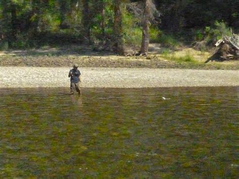 Soft~hackle Journal Basic Method Of Hackling A Soft Hackle Fly
