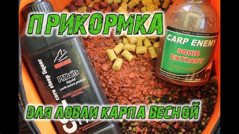 Прикормка для ловли карпа весной. Рецепт для холодной воды. - YouTube