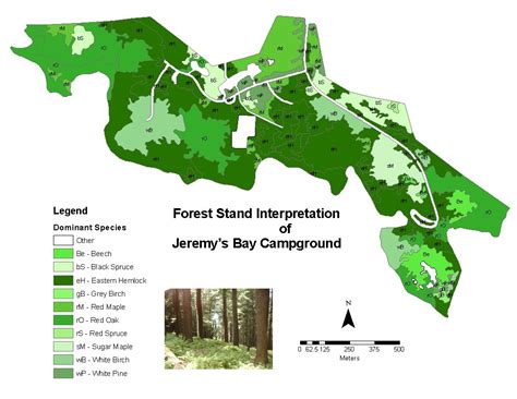 Spatial Database Modeling Of Forest Stands In Kejimkujik National Park
