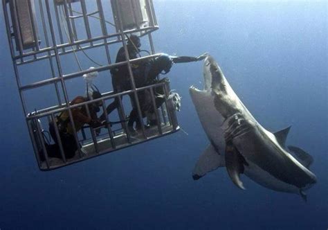 When A Picture Says More Than Just A Thousand Words 48 Pics