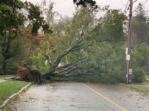Tempestade Derruba árvores E Causa Transtorno Em Massachusetts