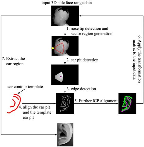 Flowchart Of The Proposed Ear Detection Scheme Download
