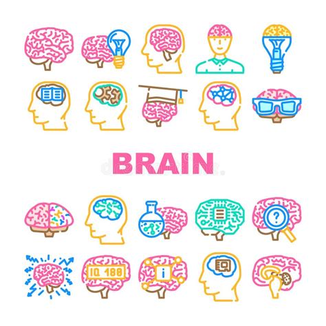 Brain Mind Human Head Icons Set Vector Stock Vector Illustration Of