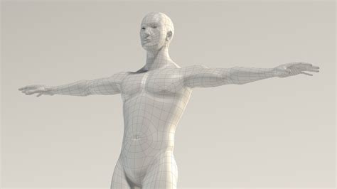 Human Male T Pose 3d Model 15 3ds Fbx Max Obj Free3d