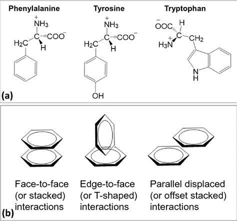 A The Chemical Structure Of The Three Phenyl Based Aromatic Amino Download Scientific Diagram