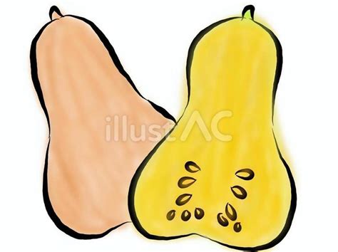 무료 벡터 제목