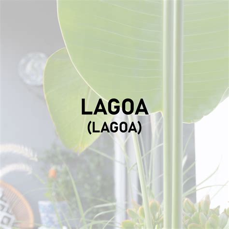 Selected Works Jrbdesignstudio Ltd