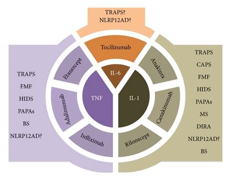 Schematic Representation Of The Biologic Agents Used In The Management