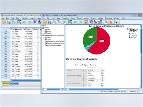 Ibm Spss Statistics Price Features Reviews And Ratings Capterra India