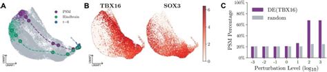 ScNODE Generative Model For Temporal Single Cell Transcriptomic Data
