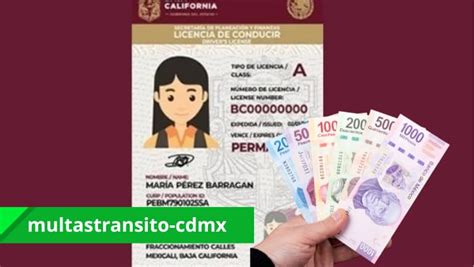 ¿cuánto Cuesta Renovar La Licencia De Conducir En Baja California