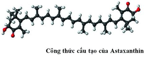 Astaxanthin Trong Nuôi Tôm Oic New Nanotechnology