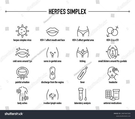 Herpes Simplex Symptoms Diagnostic Treatment Vector Stock Vector
