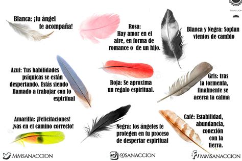 Ver Lagarta Significado Espiritual LIBRAIN