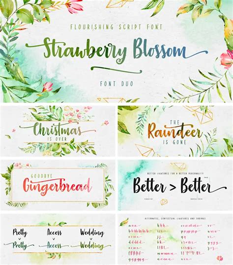 41 Best Brush Fonts For Outstanding Designs Free Premium Onedesblog