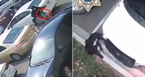 Three Men Who Targeted Robbed Over 70 Asian Women In The Bay Area Have
