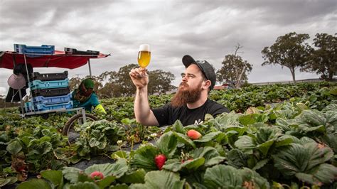The Craft Beer Sector Is A South Australian Success Story The Advertiser