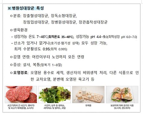 ‘손씻기·익혀먹기·끓여먹기식중독 예방 3대 요령 실천 당부