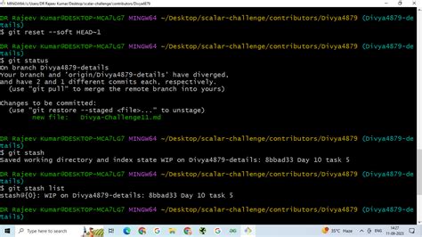 Challenge 1 2930 Divya0416 · Issue 116 · Scaleracademyscaler