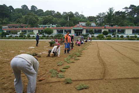 위촌리 송양초등학교 잔디밭조성현장 및 마을하천 작업현장 마을소식 사단법인 우리마을