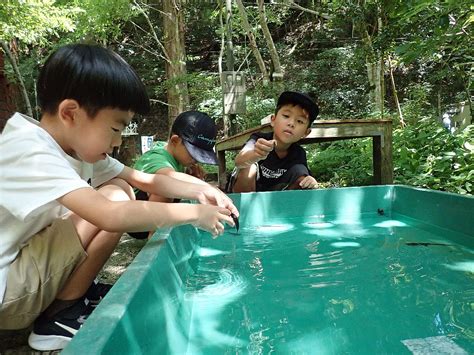 夏がはじける！ 22日の昆虫館 佐用町昆虫館オフィシャルブログ
