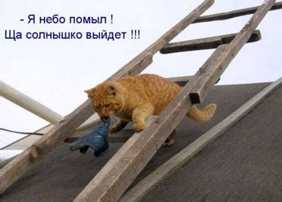 Android AsyncTask