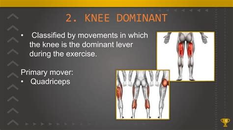 Pathfit 2 Exercises For The Muscles Pptx Physical Therapy Wellness