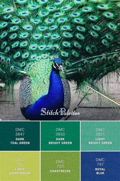 Peacock Pride Artofit