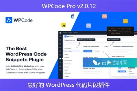 Wpcode Pro V2012 最好的 Wordpress 代码片段插件 云典网