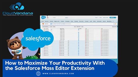 Cloudvandana On Linkedin Cloudvandana Salesforce Sap Servicenow Salesforcepartner…