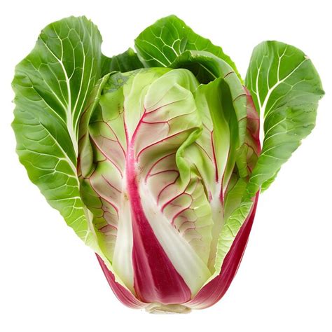 Légume à Feuilles De Chicorée à Tête Ronde Caractérisée Par Son Grain