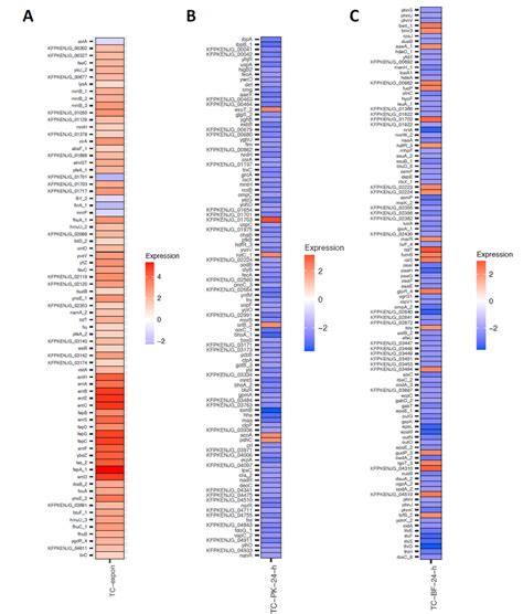 Statistically Significant Differential Expression Of Chromosomal Genes