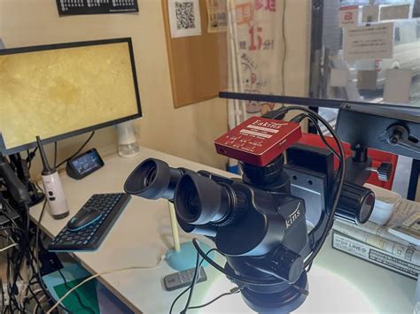 ニキビダニに襲われているハムスターの経過をデジタル顕微鏡で経過を見てみた 苫小牧パソコン修理専門店 ピシコ